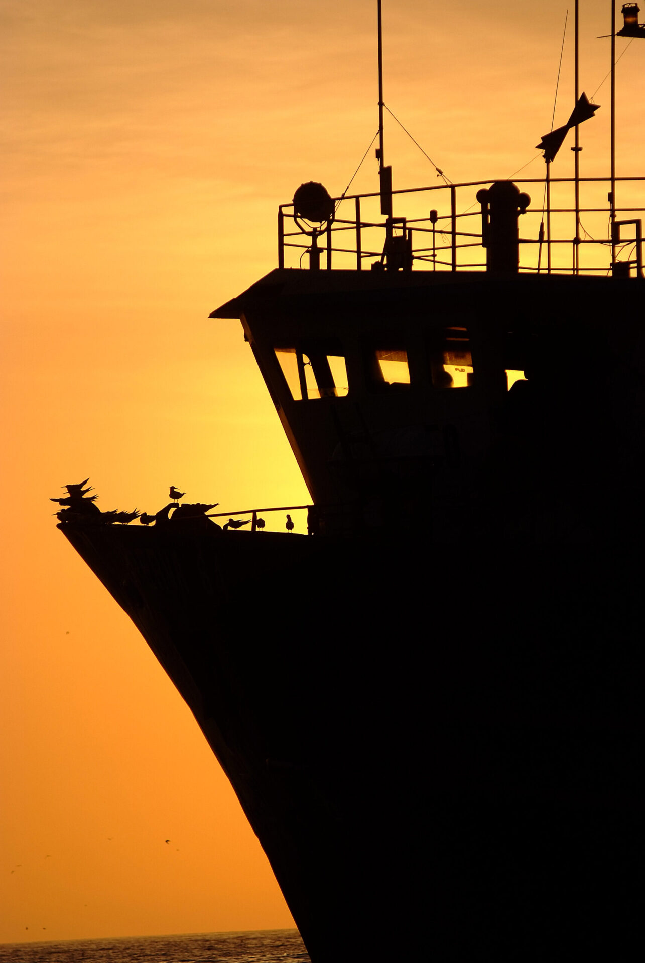 Holding Nutrisco: Impulsando la nutrición sostenible - Revista Corporativa