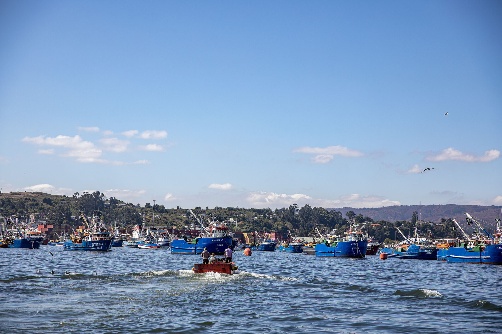 Orizon Seafood: Mejor alimentación, mejor futuro - Revista Corporativa